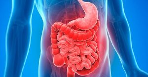 Transito intestinal: un indicador de salud digestiva – Hidroterapia de ...